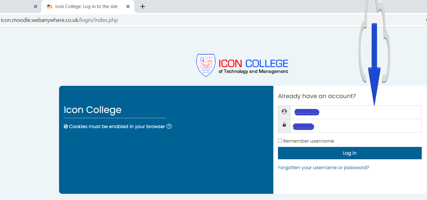 ICON College